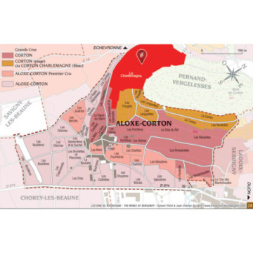Corton-Charlemagne 2018 - Simon Bize et Fils - Côte de Beaune - White ...