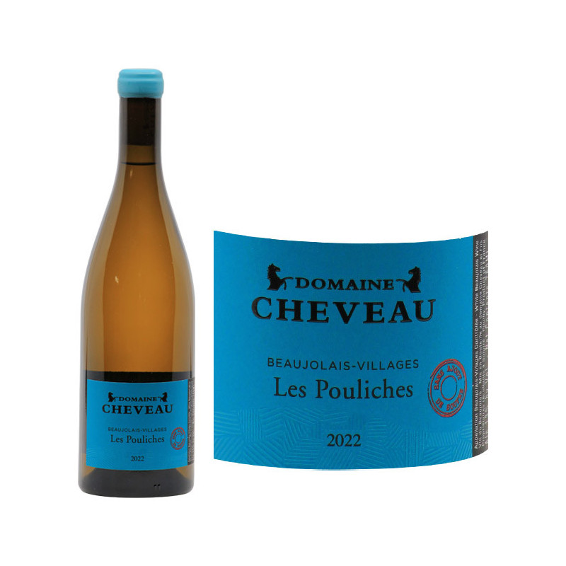 Beaujolais-Villages Blanc "Les Pouliches" Sans Soufre 2022 - Domaine ...