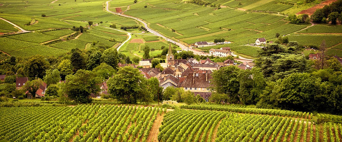 Grands Bourgognes - Achat de vins de Bourgogne en ligne