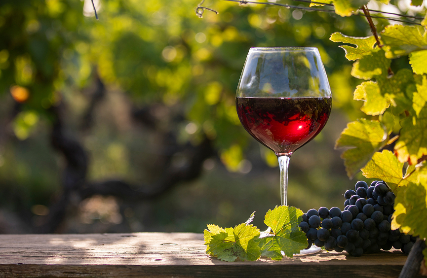 Burgundy Wine Classification: Grands Crus, Premiers Crus, AOC