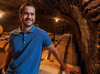 Domaine Ballot-Millot – Héritage et excellence à Meursault